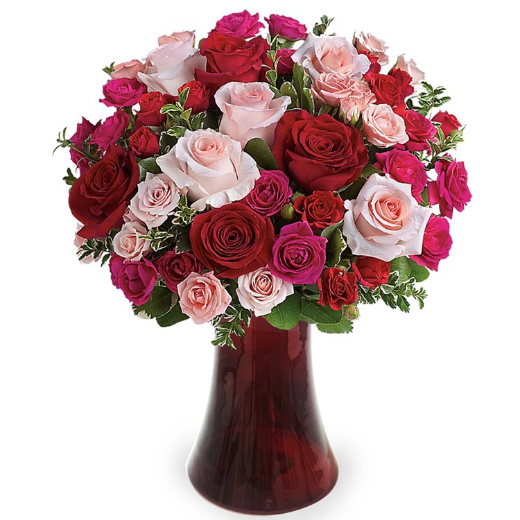 Muito Amor: Conheça a Rosa Spray | Giuliana Flores