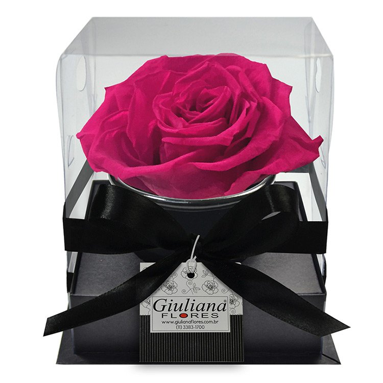 Coleção de Rosa Encantada da Giuliana Flores inspirada na Bela e a Fera