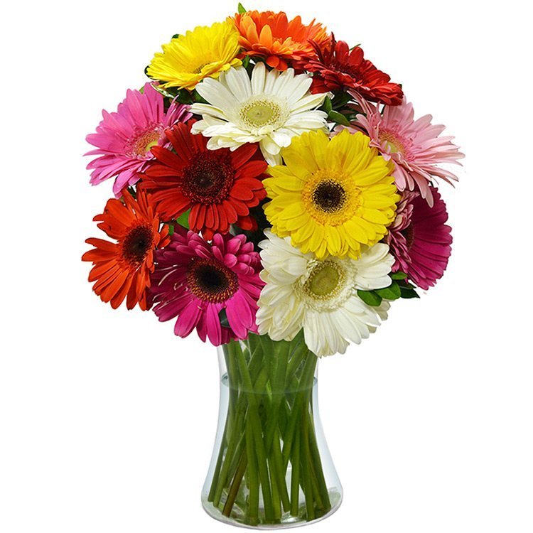 3 Benefícios da Entrega de Flores em Fortaleza - Blog Giuliana Flores