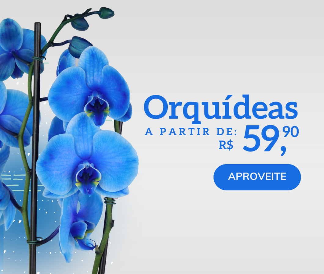 Home - BLOG - GIULIANA FLORES